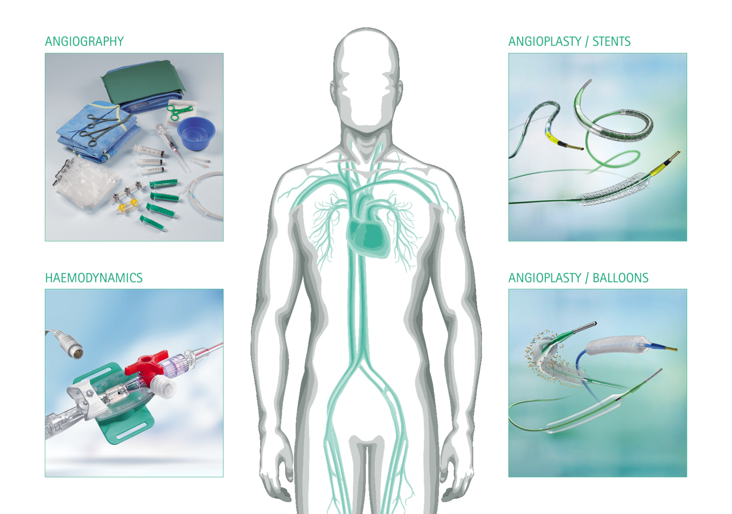 Cardiology (DES, BMS, PTCA, Balloon, PTCA Accessories) - WPI